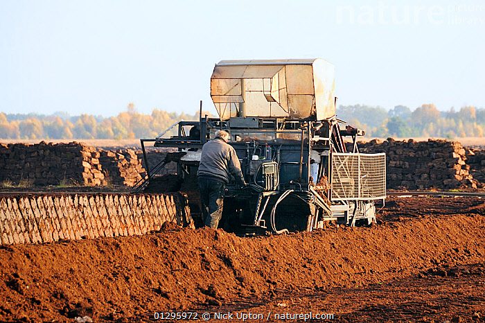 Stock photo of Mechanical peat cutting and stacking machine being ...