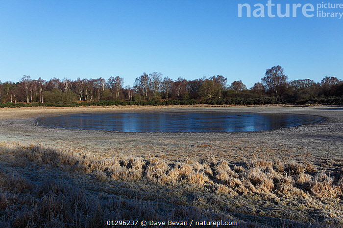 Stock photo of A collapsed pingo at East Wretham heath nature reserve ...