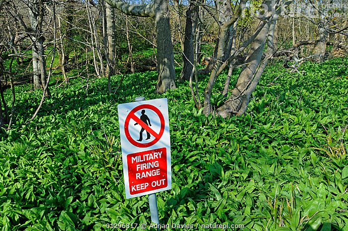 Stock photo of Military firing range Keep Out warning sign, in spring ...