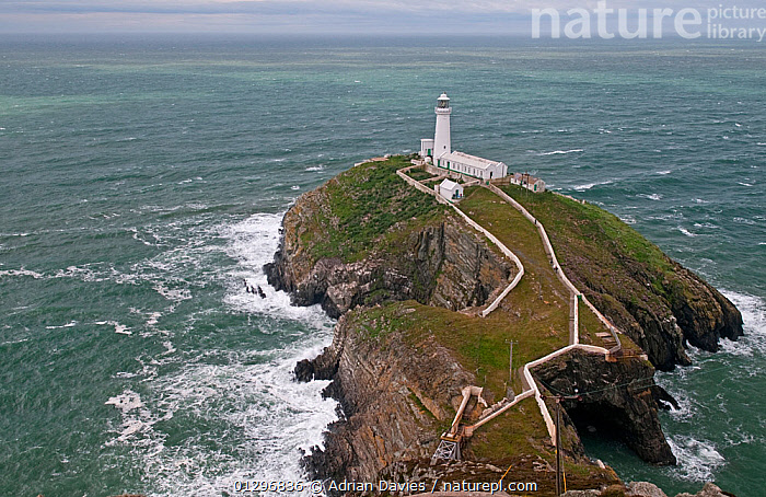 Stock photo of Aerial view of Lighthouse at South Stack, Anglesey, RSPB ...