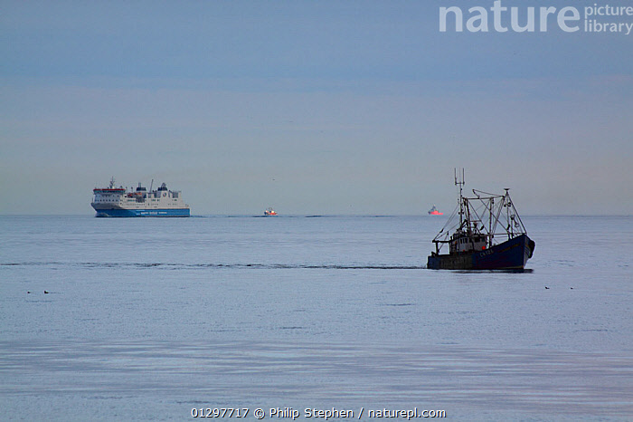 Stock photo of Scallop trawler with Shetland ferry in background, North ...
