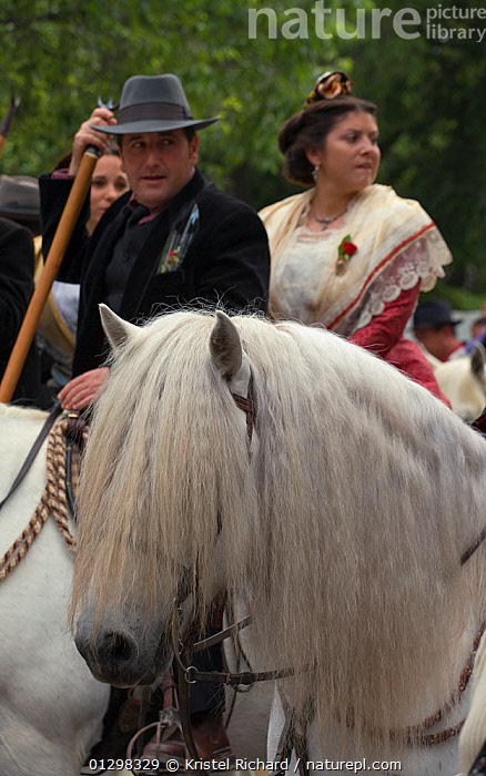 Stock photo of Portrait of a young Gardian (traditional French cowboy ...