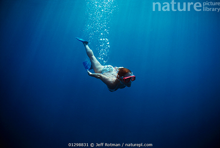 Stock photo of Free diver diving to explore coral reef, Sinai, Egypt ...