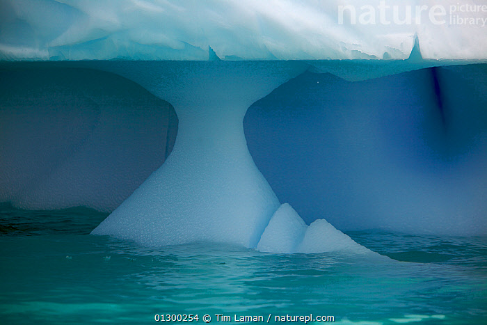 Stock photo of Iceberg showing wave erosion, Antarctica, January ...