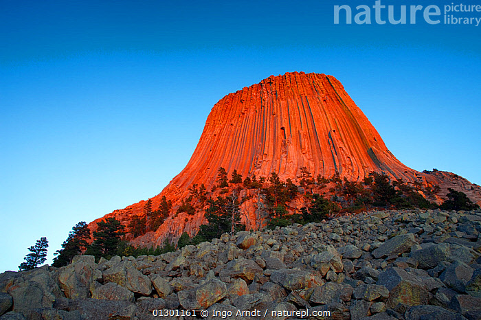 Stock photo of Devil's Tower National Monument showing famous basalt ...