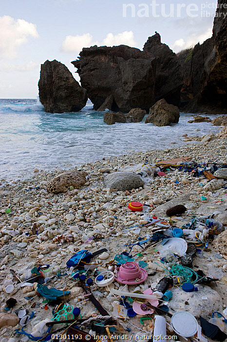 Stock photo of Litter on Greta beach, East Coast, Christmas Island ...