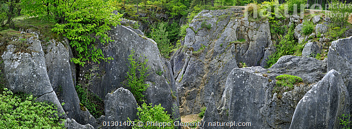 Stock photo of Sinkhole / doline / shake hole (a natural depression in ...