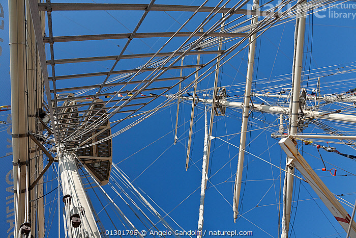 Stock photo of Looking upwards at rigging of British three masted ...