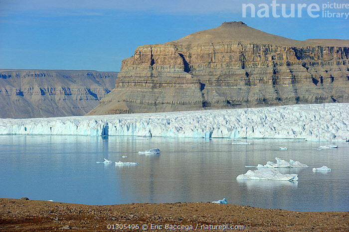 Stock photo of Icebergs and glacier, Croker Bay, with striated ...