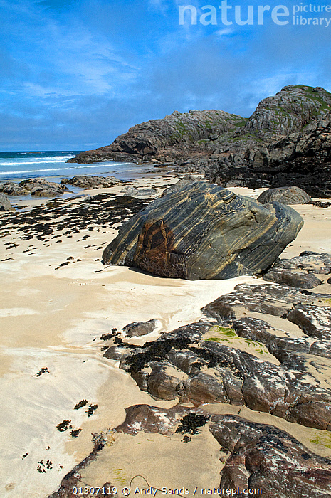 Stock photo of Lewisian metamorphic rocks eroded by sea on beach, Isle ...
