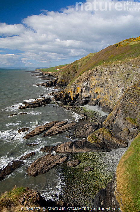 Stock photo of Coastline at Penderi Cliffs nature reserve, Ceredigion ...