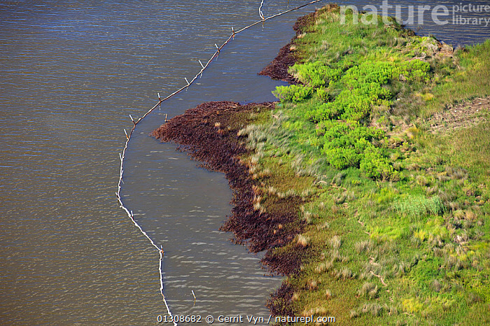 Stock photo of Aerial view of oiled and containment boomed salt marsh ...