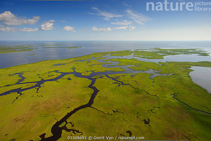 Stock photo of Aerial view of salt marsh in the Baratari Bay area of ...