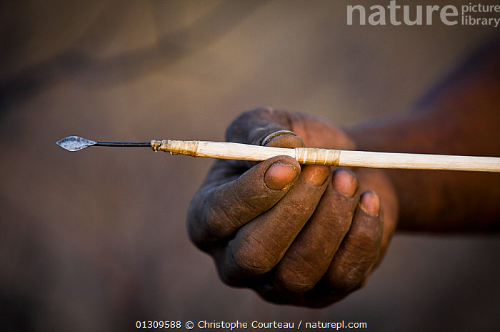 Stock photo of Kalahari bushmen's hunting arrow head, Kalahari desert ...