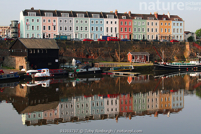 Stock photo of Terrace of colourful houses on Redcliffe Quay, reflected ...
