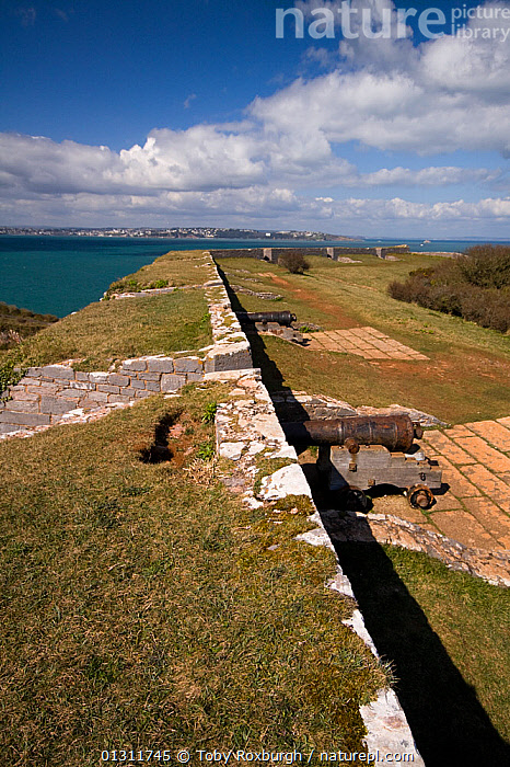 Stock photo of 19th century cannon in the Napoleonic fort at Berry Head ...