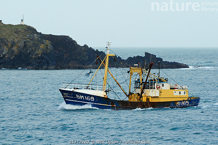 Stock photo of Brixham beam trawler "Three Sons" passing Stepper Point ...