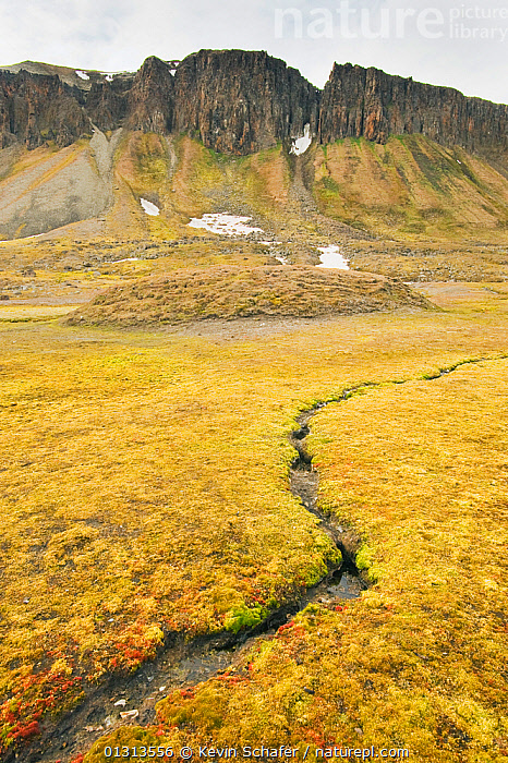 Stock photo of Meltwater stream flowing past a Pingo, Kapp Freeden ...