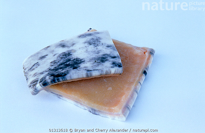 Stock photo of Muktuk, a traditional Inuit and Chukchi meal made from ...