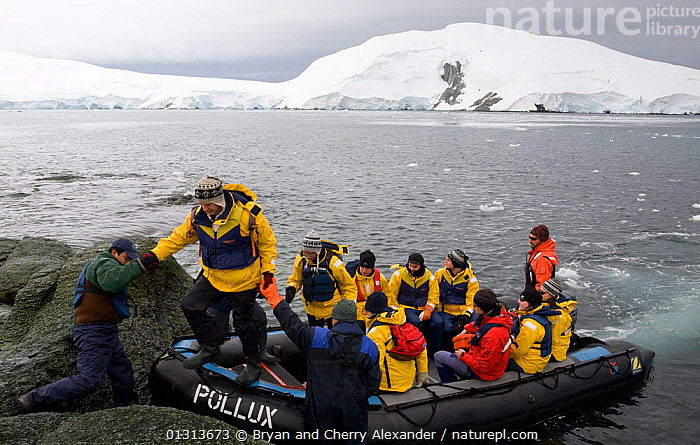 Zodiac landings in antarctica 60 photos - Astrologytoyou.com