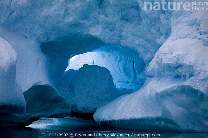 Stock photo of Ice arch in iceberg, Cierva Cove, Antarctica, 2009 ...