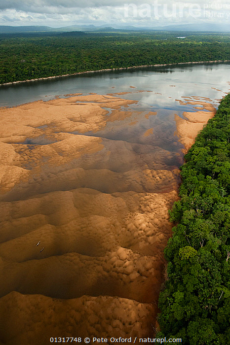 Stock photo of Aerial view of the Essequibo River, Iwodrama Reserve ...