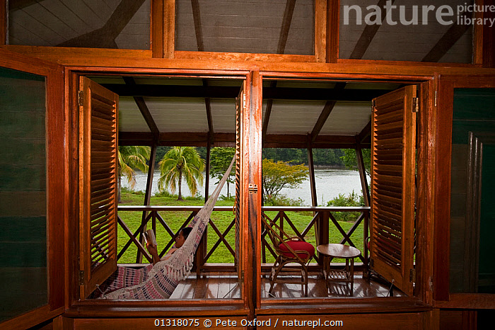 Stock photo of Balcony with hammock at Iwokrama Lodge, Iwokrama Reserve ...