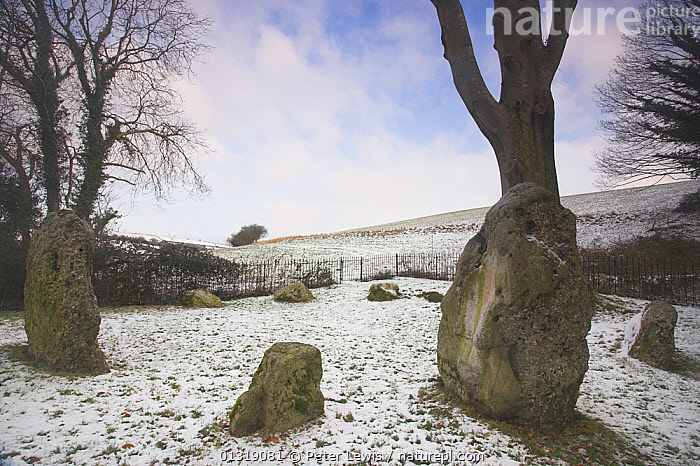 Stock photo of The Nine Stones in winter snow. Erected possibly 1000 BC ...