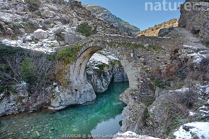 Stock photo of A medieval Genoese bridge on the Asco river, Parc ...
