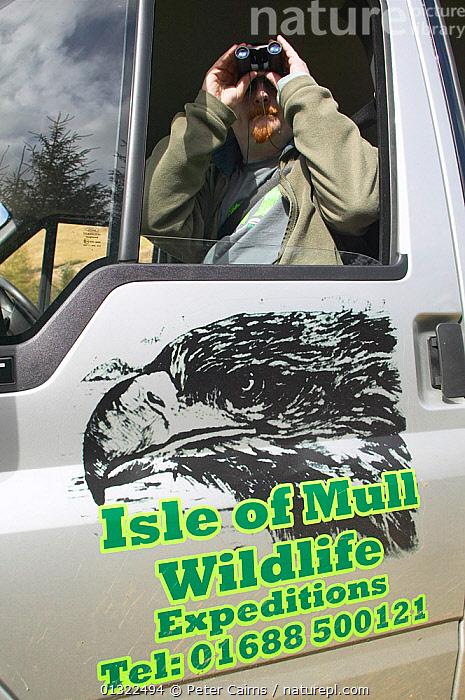 Stock photo of Wildlife spotter looking through binoculars from his ...