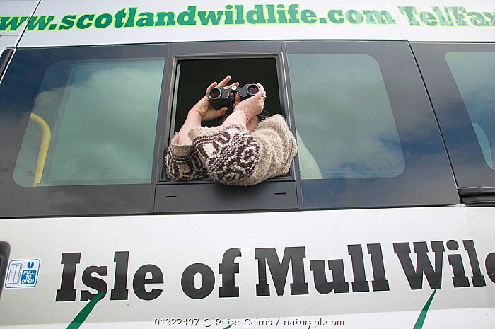 Stock photo of Wildlife spotter looking through binoculars from his ...