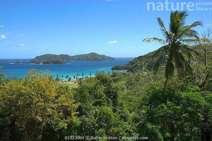 Stock photo of View of Little Tobago Island. Picture taken during ...