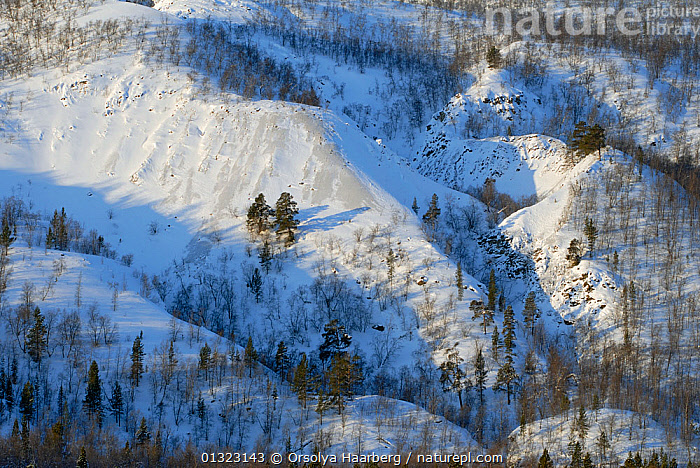 Stock photo of Aerial view of the Reisa valley in the Reisa National ...