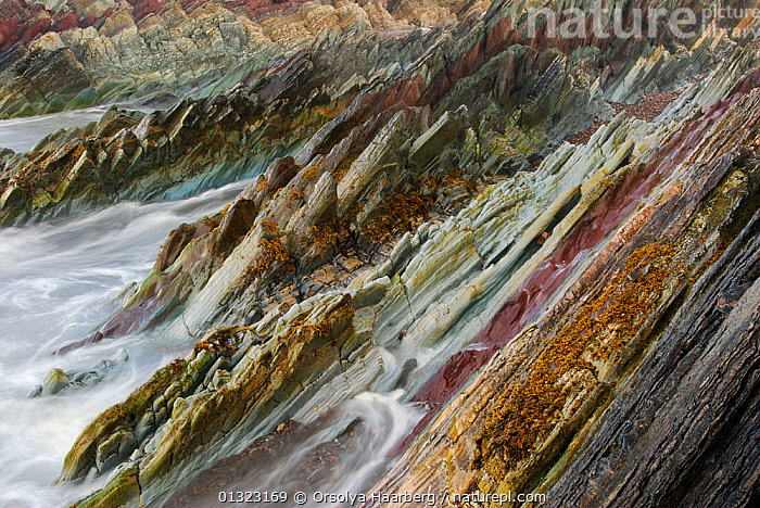 Stock photo of Coastal sedimentary rocks (sandstone, mudstone, dolomite ...