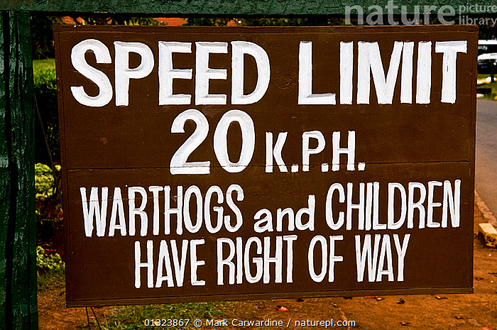 Stock photo of Speed limit sign, stating that Warthogs and children ...