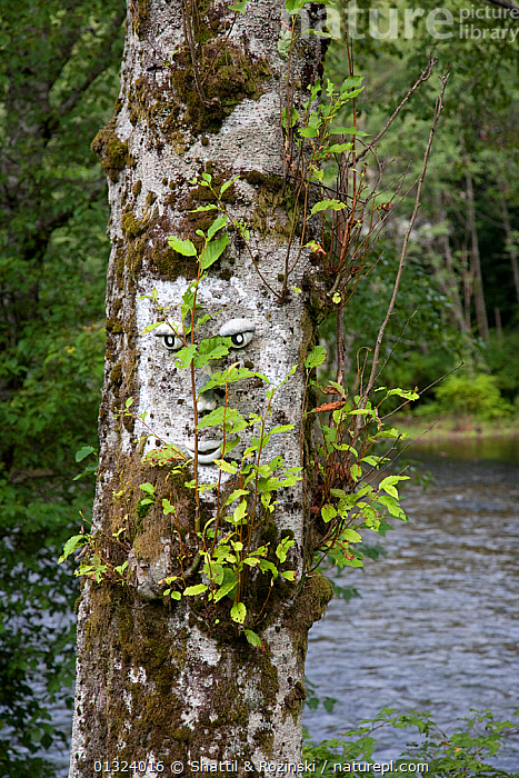 Stock photo of Contemporary totem-style art on a living tree in the ...