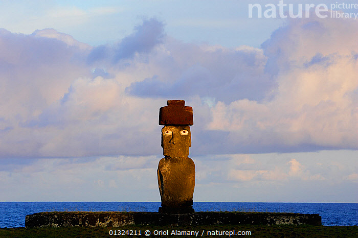 Stock photo of Moai statue standing erect at the restored ...