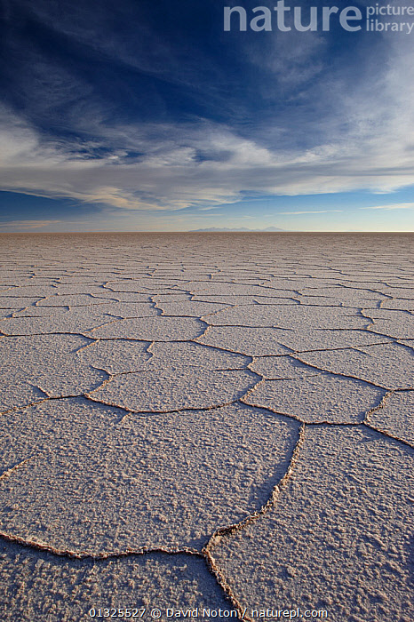 Stock photo of Patterns created by dried salt on the earth's surface ...