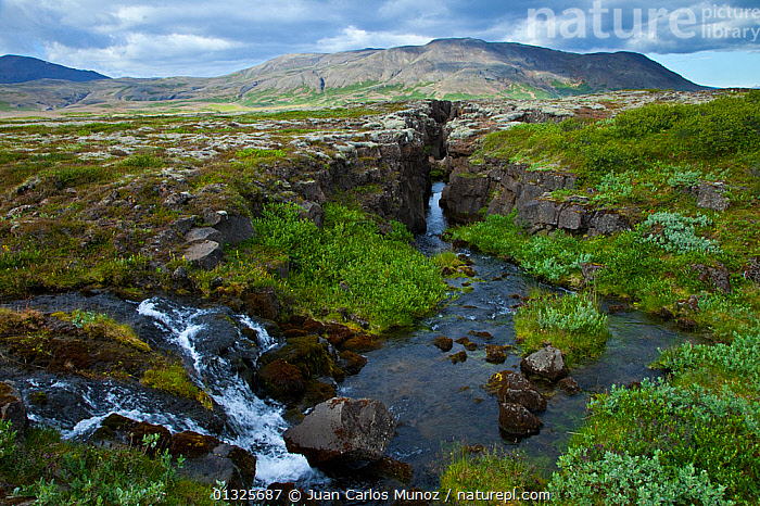 Stock photo of Stream running down a rift in the rift valley at the ...