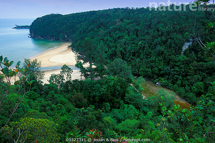 Stock photo of Aerial view of Pandan beach and rainforest, Bako NP ...