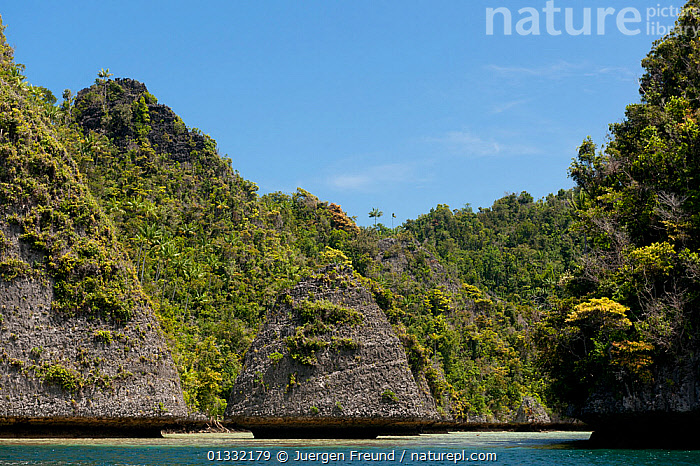 Karst Limestone Formations In Frontiers | Characteristics Of Karst
