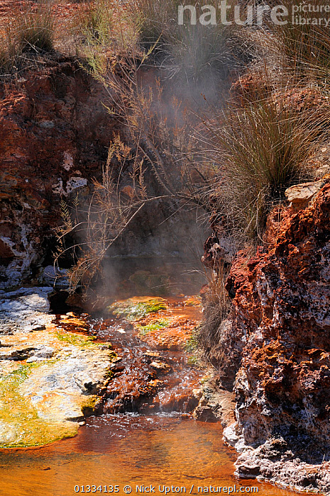 Stock photo of Boiling water from hot springs flowing into thermal ...
