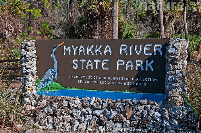 Stock photo of Entrance sign to Myakka River State Park. Florida, USA ...
