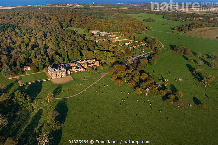 Stock photo of Aerial view of Felbrigg Park and Great Wood, Norfolk, UK ...