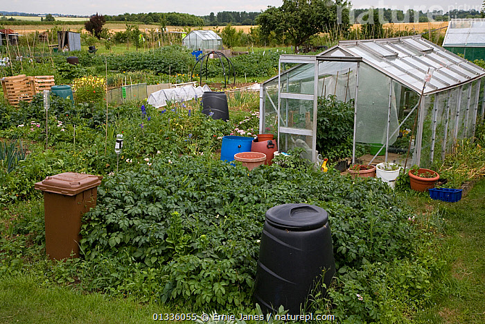 Stock photo of Greenhouse, compost bins and vegetable garden in Garden ...
