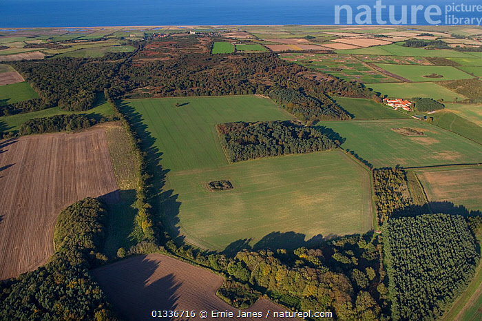 Stock photo of Aerial view of heathland, marshes and farmland ...