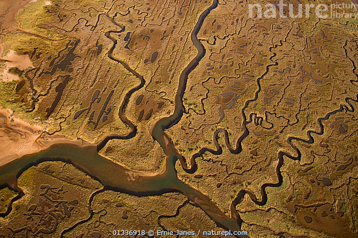 Stock photo of Aerial view of creeks and saltmarsh on Morston marsh ...