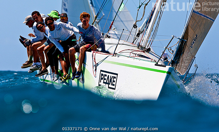 Stock photo of Crew hiking-out on board yacht during the Grenada ...