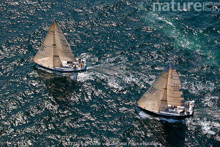Stock photo of Aerial view of J44s "Runaway" and "Gold Digger" racing ...