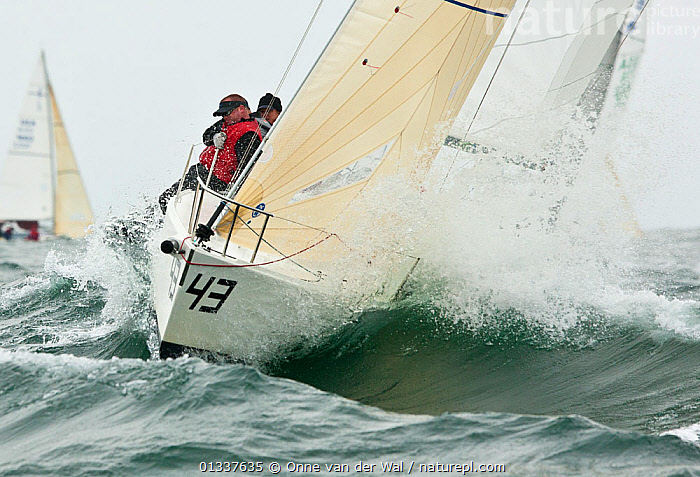 Stock photo of Racing in the J80 World Championships, Newport, Rhode ...